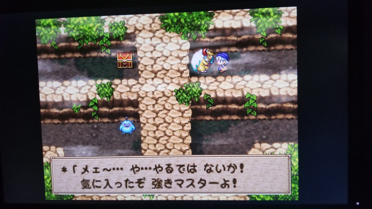 【PS1】ドラゴンクエストモンスターズ1・2で遊ぼう [テリー編15]「攻略！まよいのとびら」【DQM1】 | はいみっくすわーるど